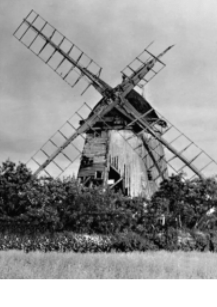 The Village Environment – Fulbourn Forum